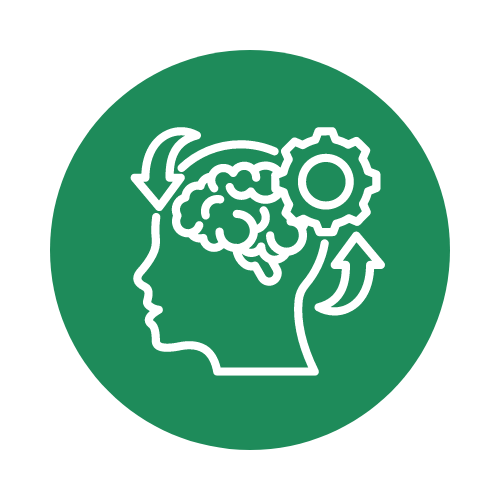 Cognitive & Focus Enhancers – Origins Of Health